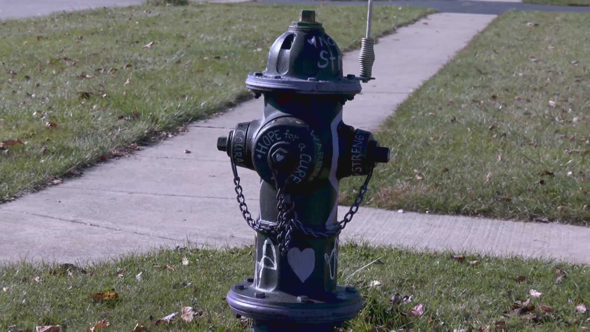 Rockford mom raises epilepsy awareness by painting fire hydrant ...