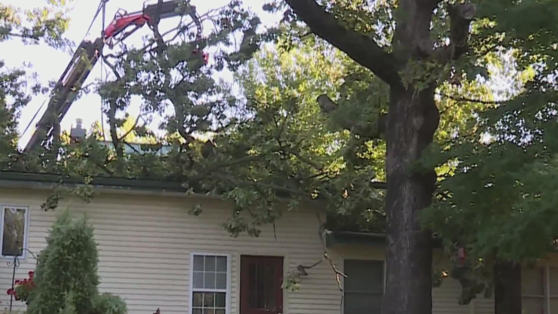 Catastrophic winds ripping trees from roots, crushing into ceilings in ...