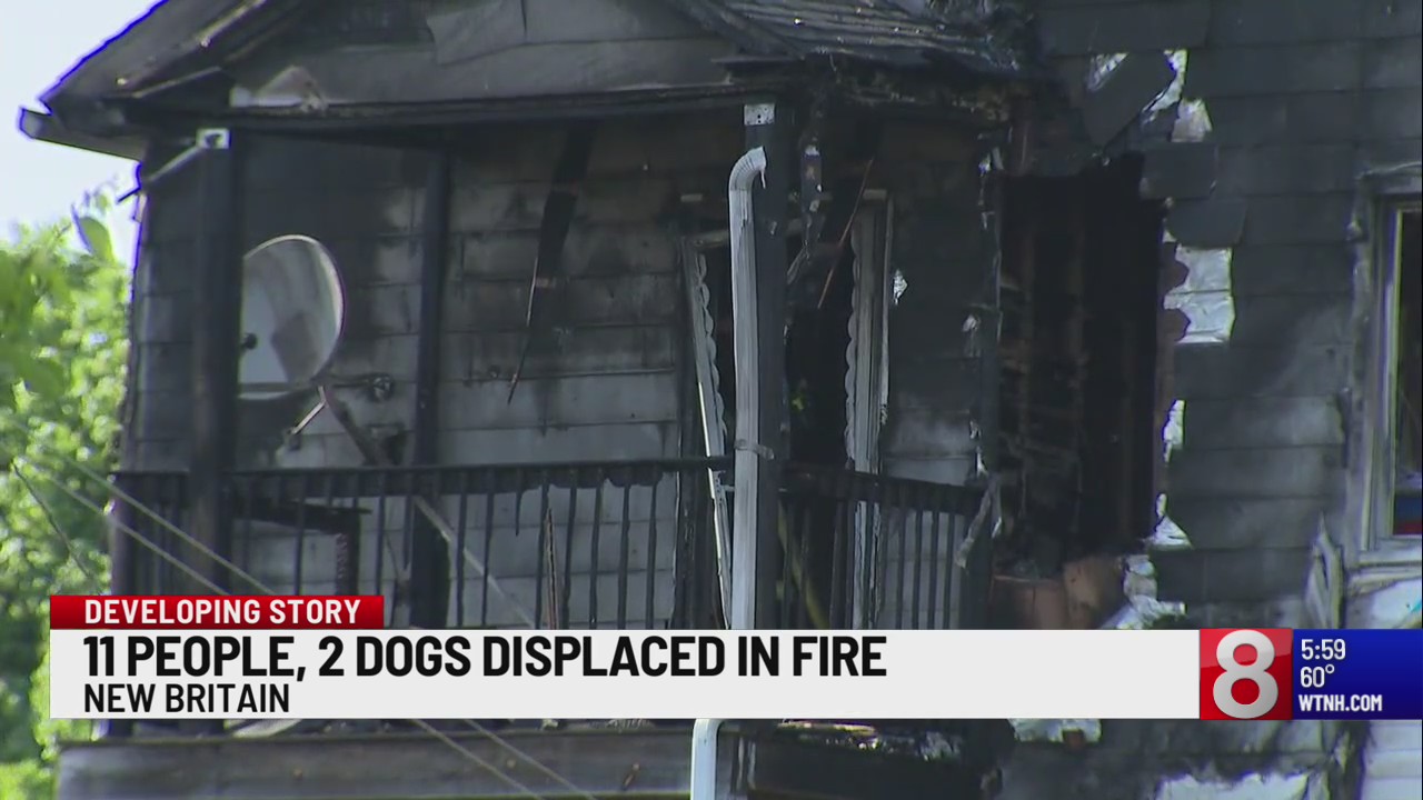11 people, 2 dogs displaced in New Britain fire – WTNH.com