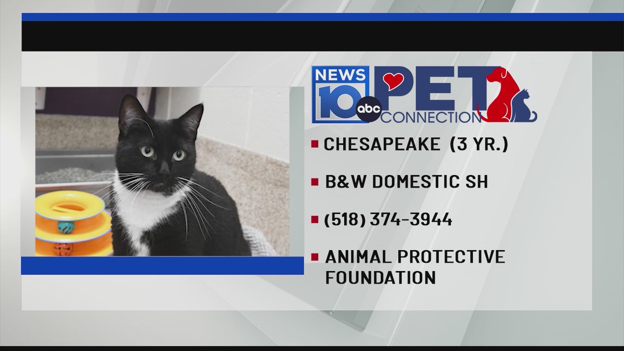 Chesapeake – NEWS10 ABC
