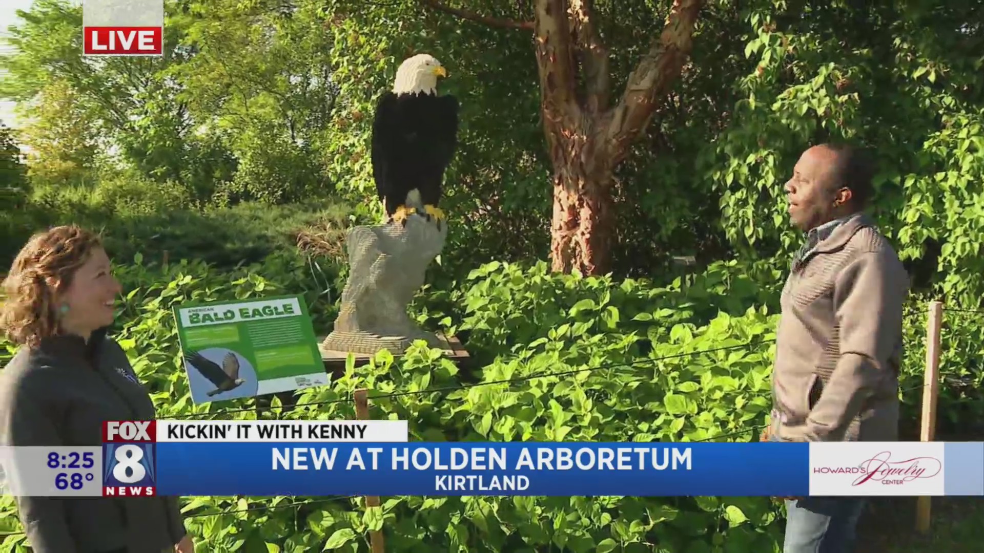 Connecting nature & LEGO’S is what new Holden Arboretum exhibit brings ...