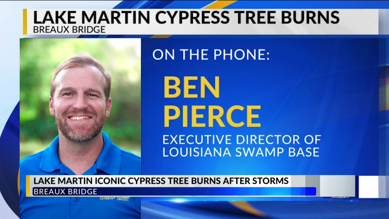 Historic Lake Martin cypress tree sustains severe burn damages after ...