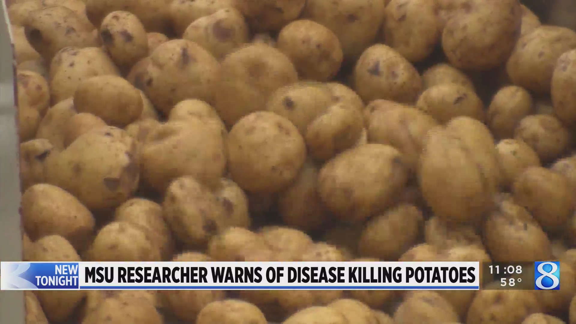 Potato-killing disease could drive up prices – WOODTV.com