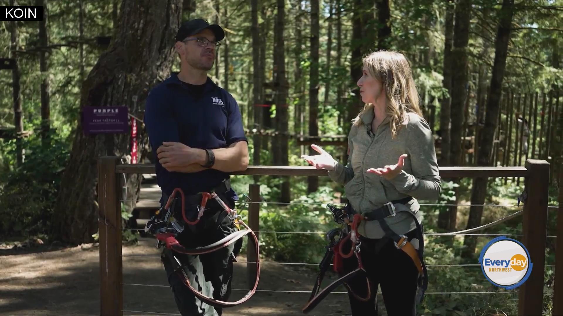 Catch all the high-flying fun at Tree-to-Tree Aerial Adventure Park ...