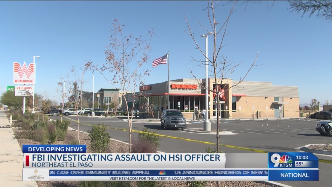 FBI investigating assault on HSI officer – BorderReport