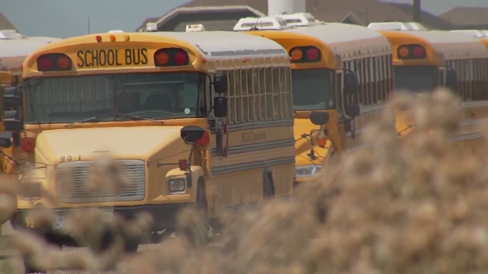 Vandals go on rampage, damage 14 school buses – FOX31 Denver