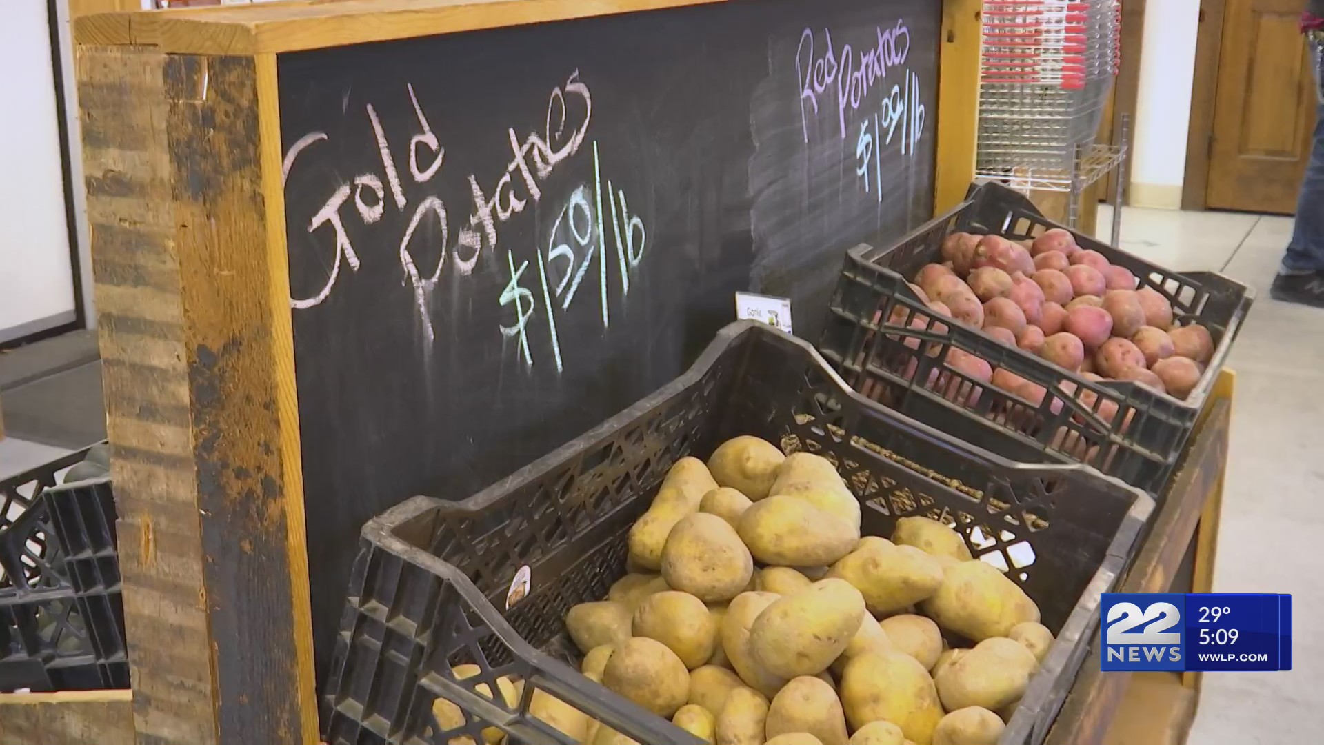 Gardening the Community looks to bring local fruits, vegetables to ...