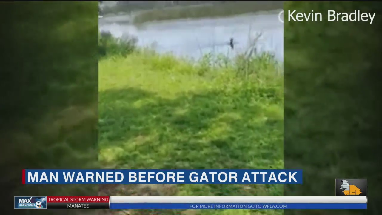 Victim in suspected Largo gator attack was warned before to stay out of ...