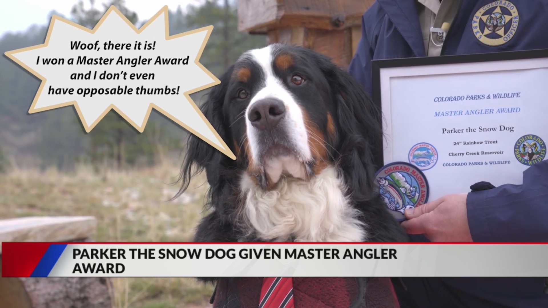Parker the Snow Dog given Master Angler award – FOX31 Denver