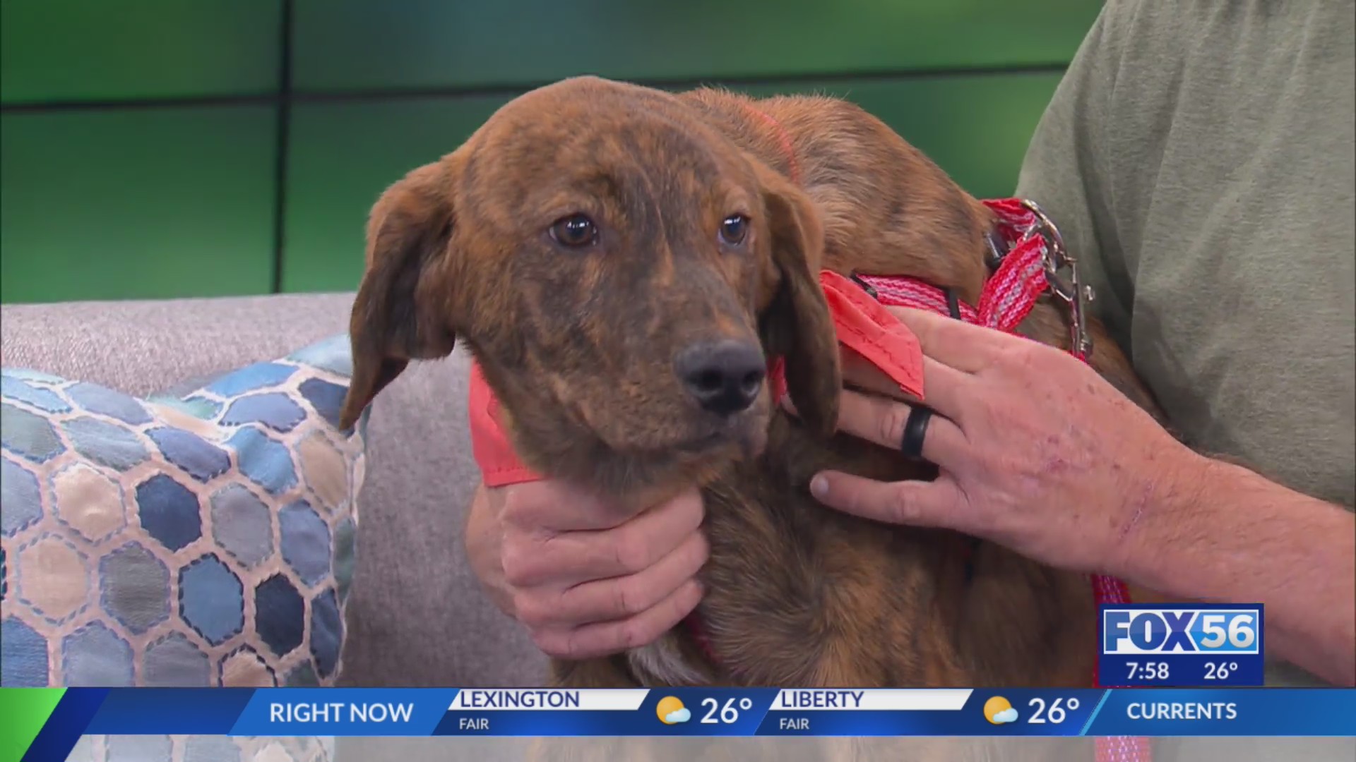Walker – FOX 56 News