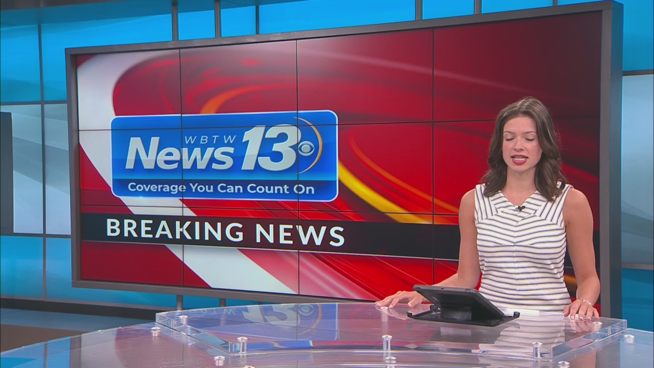 Person shows up to Georgetown County hospital with gunshot wound ...