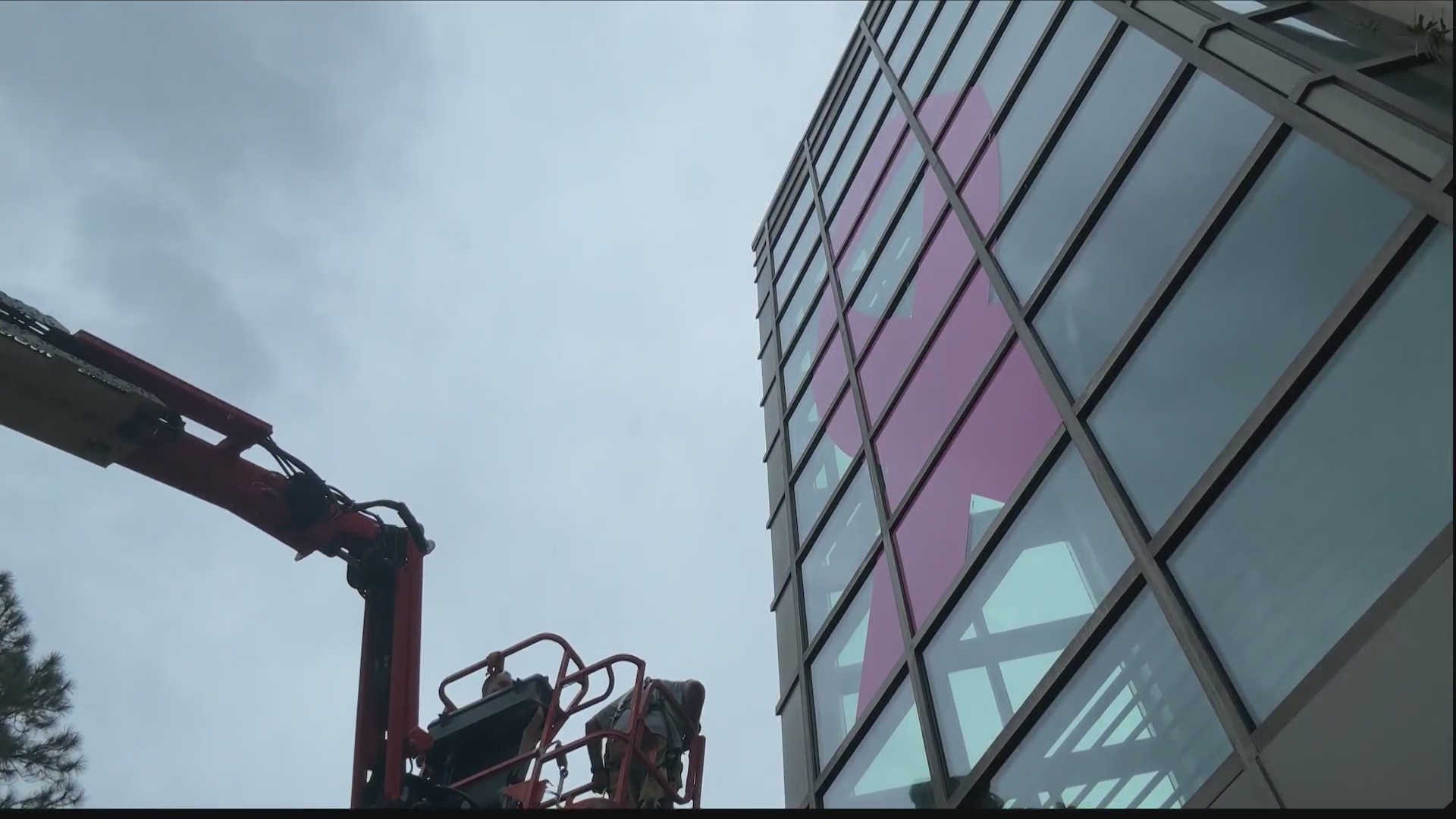 News 3’s Buddy Check celebrates funds raised for breast cancer ...