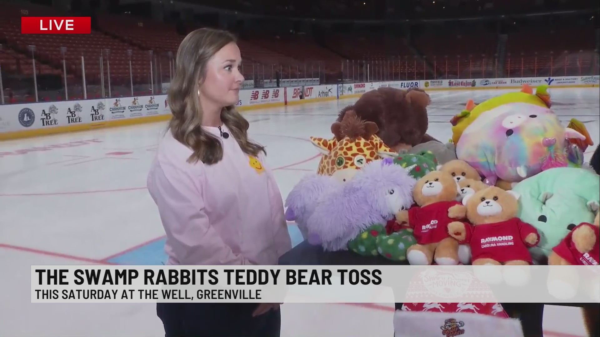 Swamp Rabbits host Teddy Bear Toss to benefit local children’s hospital ...