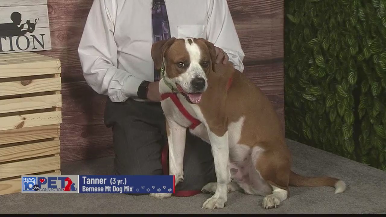 Tanner – NEWS10 ABC