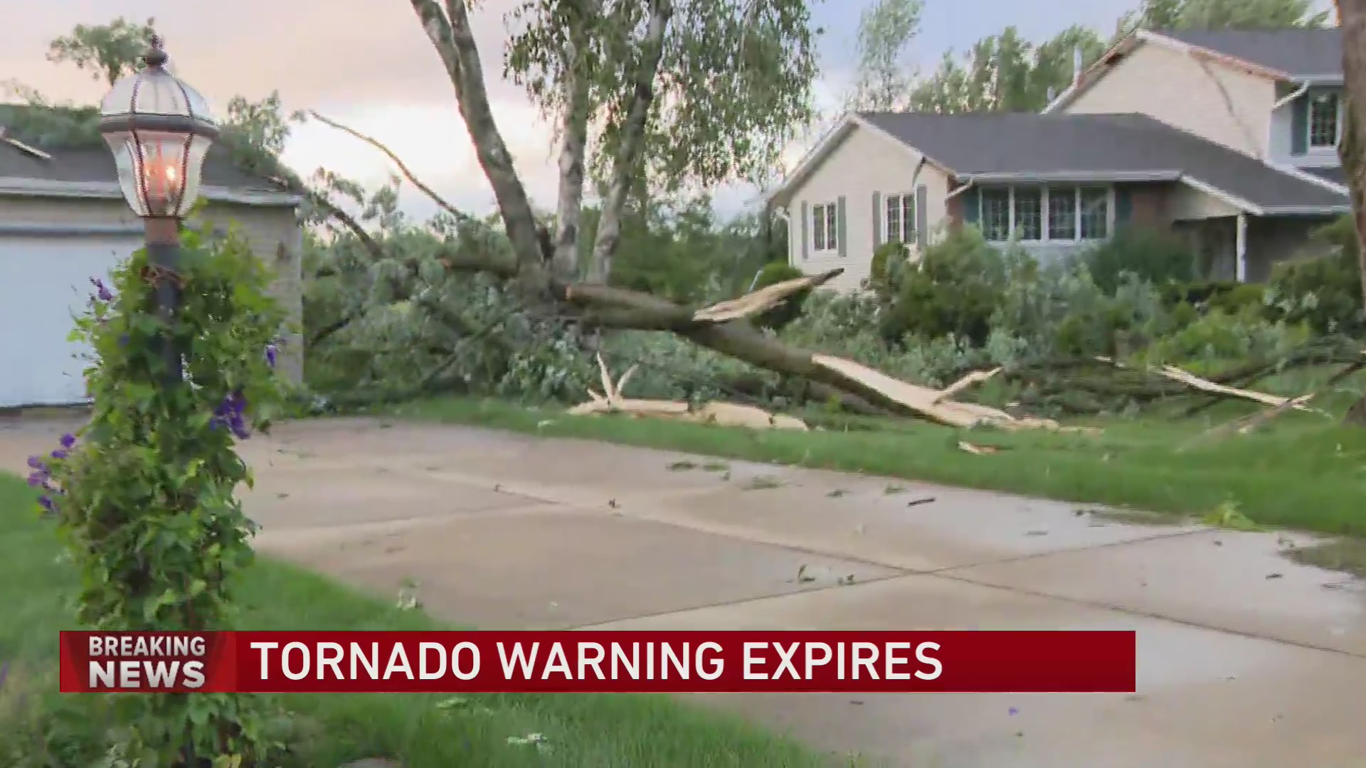 impact of tornadoes in Elgin, trees down and homes damaged – WGN-TV