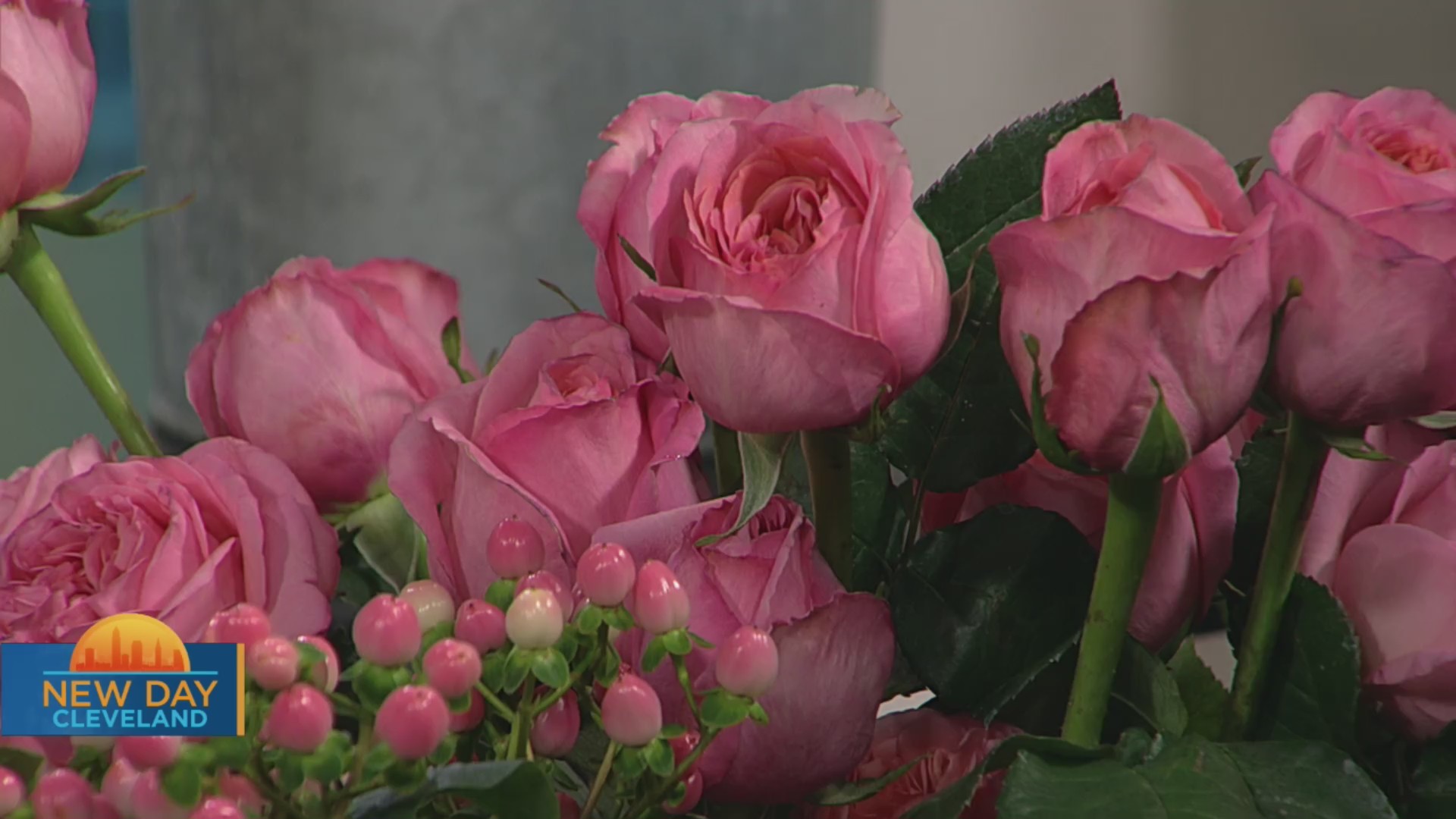 New Day Cleveland: Leaf Home & Blooms – Fox 8 Cleveland WJW