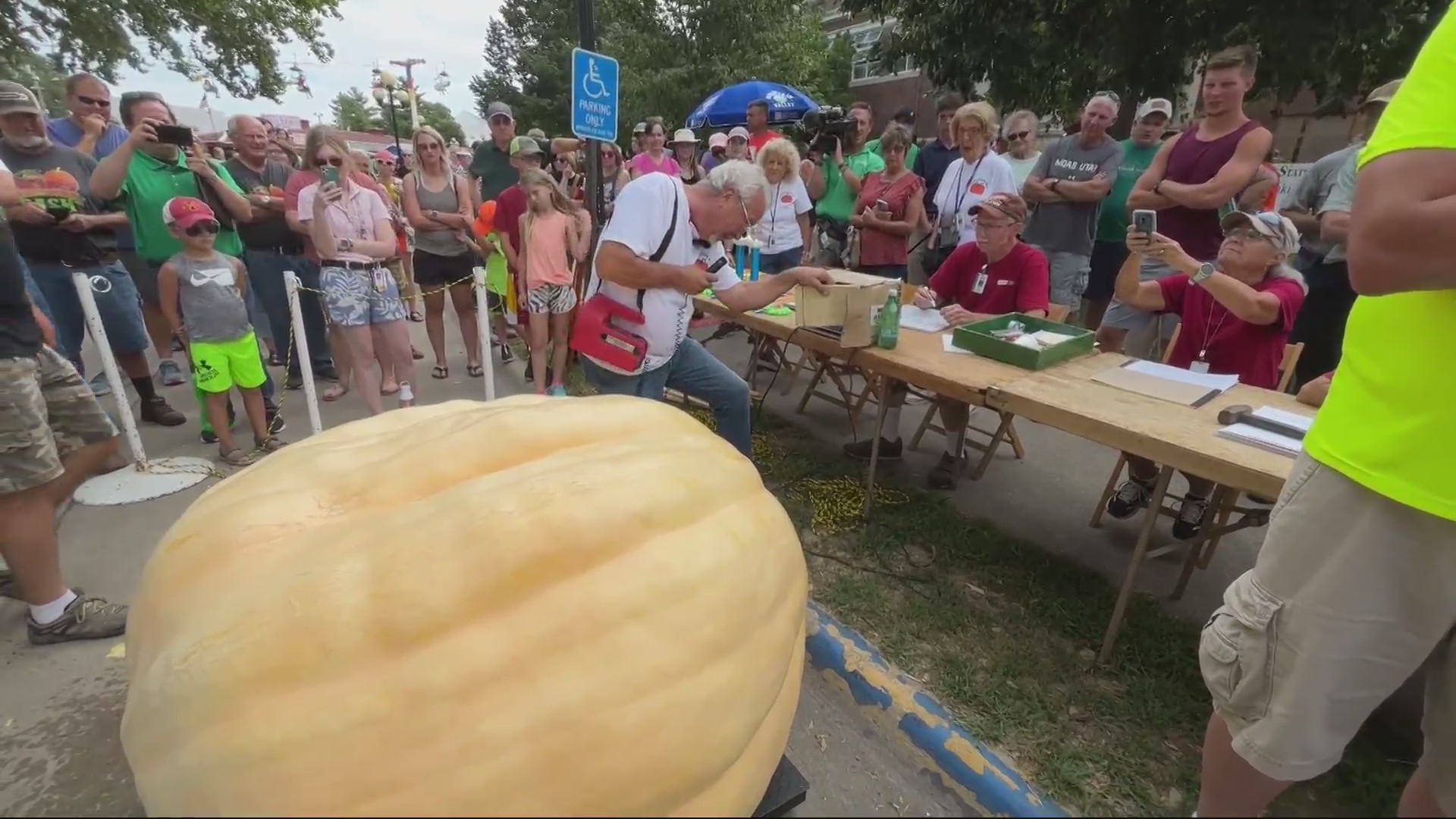 Iowa State Fair day two filled with giant pumpkins, animals – who13.com