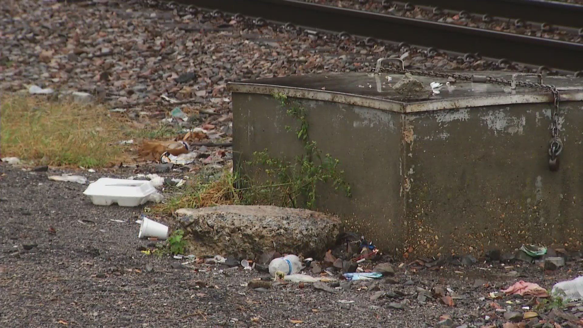 Expanding Augusta litter pickup proposed in 2024 budget – WJBF