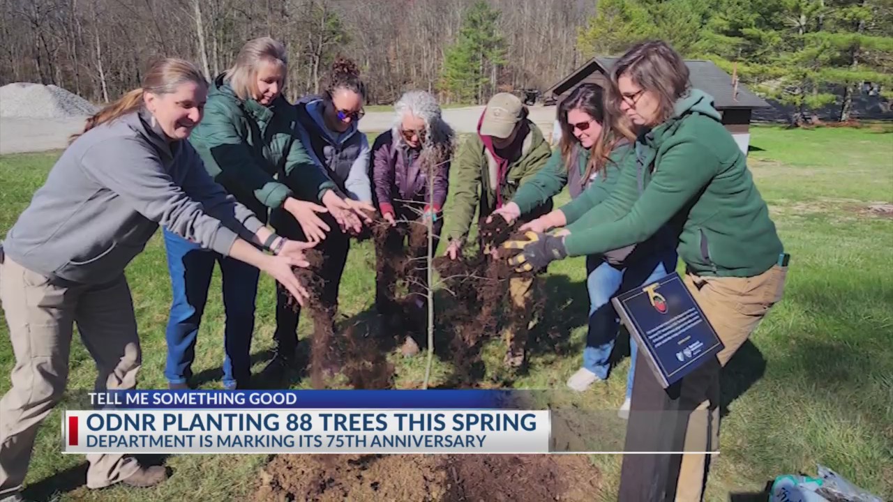 ODNR planting a tree in each county to celebrate its 75th anniversary ...