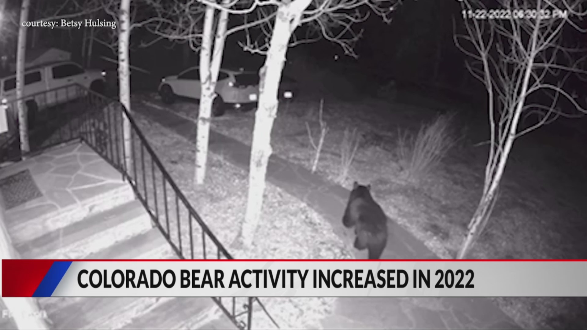 Bear activity increased in 2022 – WKRN News 2