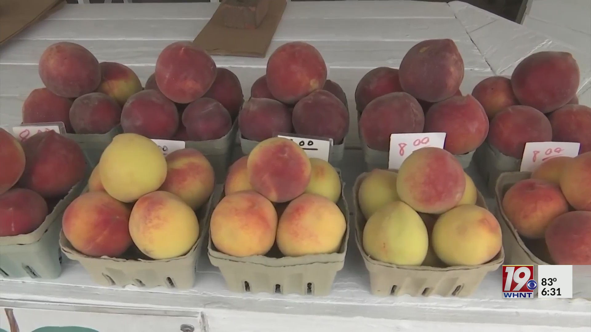 Alabama Peach Farmers See Small Crop after Cold Snap | June, 9, 2023 ...