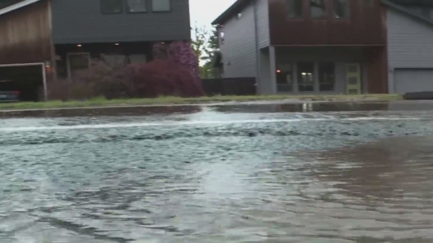 Heavy rains, minor flooding in SW Portland; 14 homes affected – KOIN.com