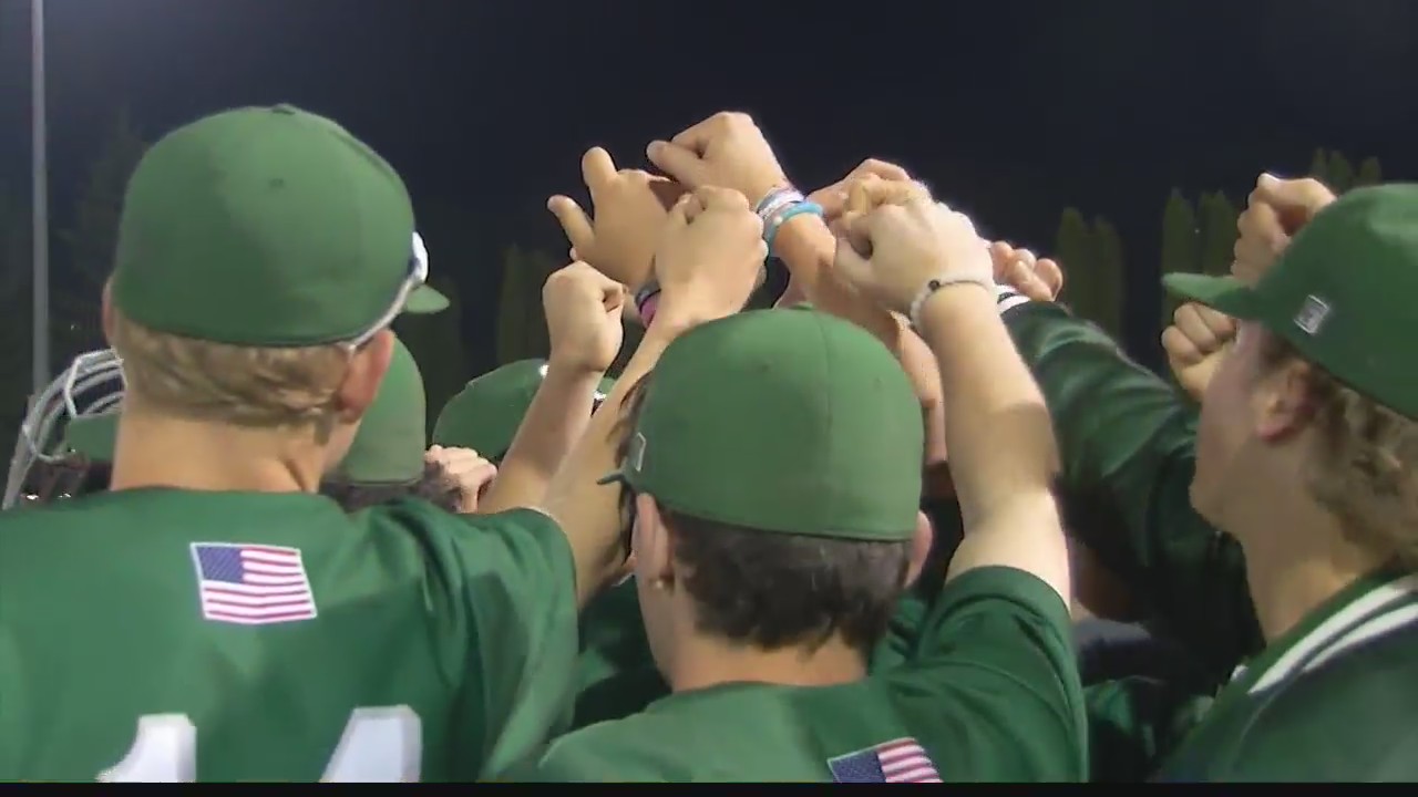 Shenendehowa bats come alive to force game three of Class AA baseball ...