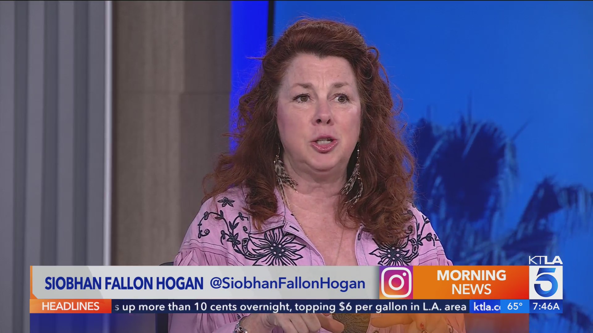 Siobhan Fallon Hogan chats about her latest film, “Shelter in Solitude ...