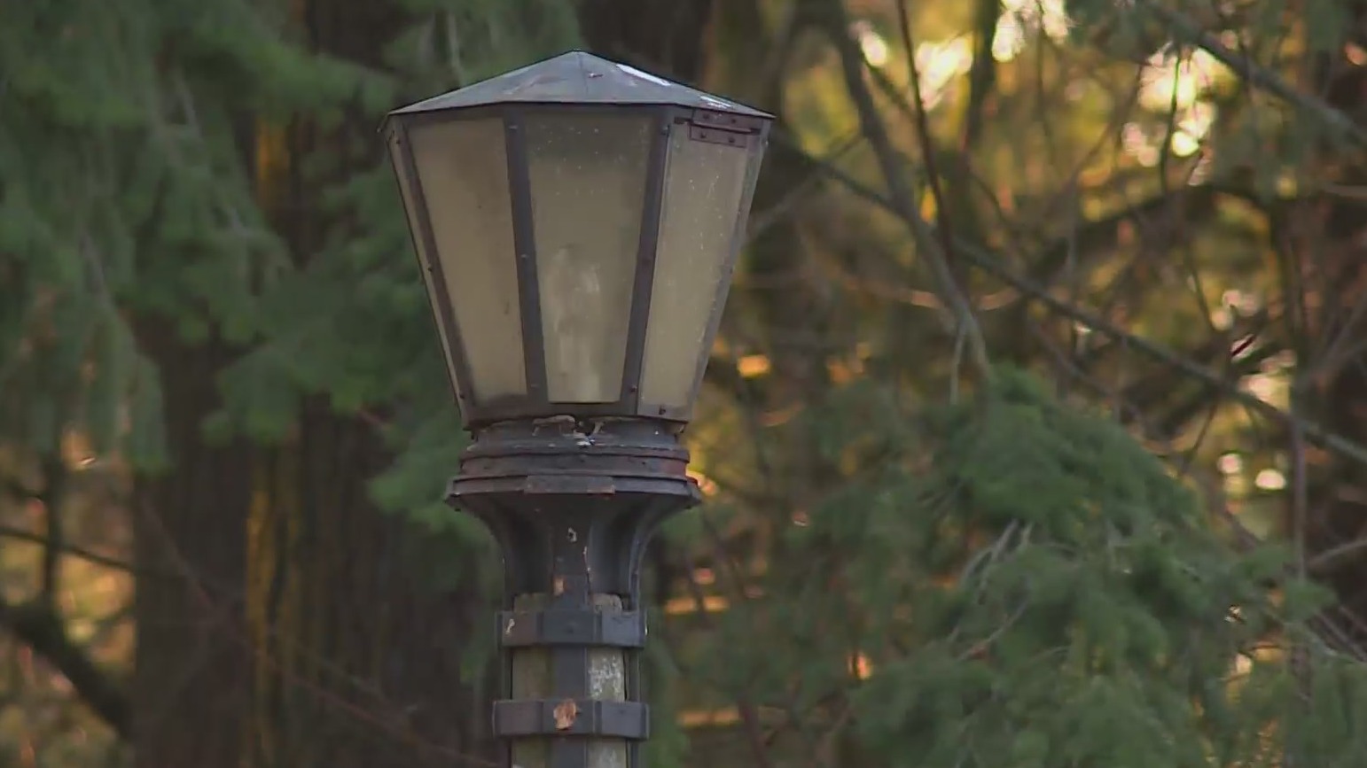 Light pole removal sparks darkness, safety concerns for Portland ...