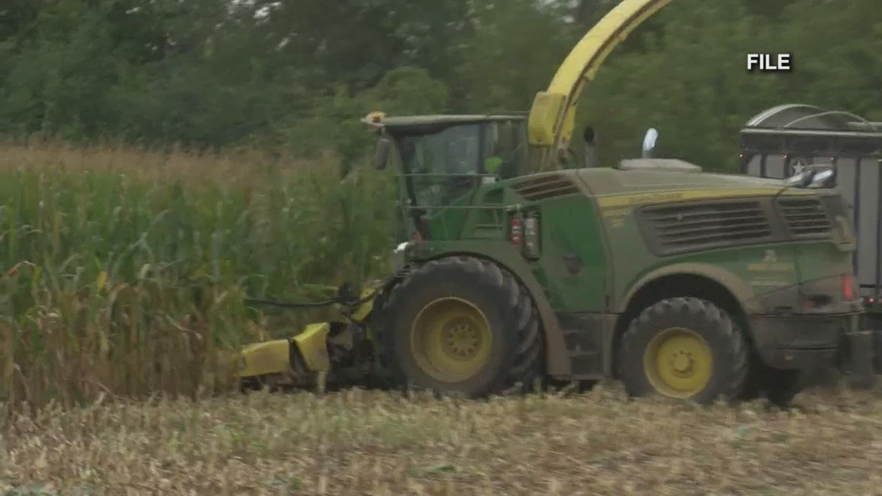“Digesting” the 2023 corn crop – WFRV Local 5 – Green Bay, Appleton