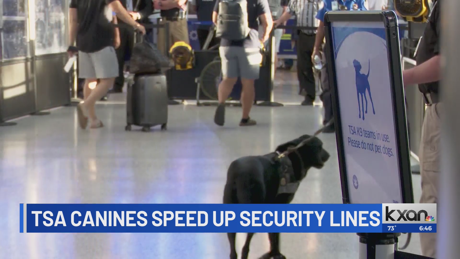 TSA dogs speed up security lines at AUS – KXAN Austin