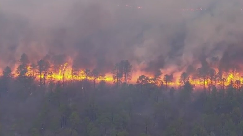 Firefighters battle NJ brush fire – PIX11