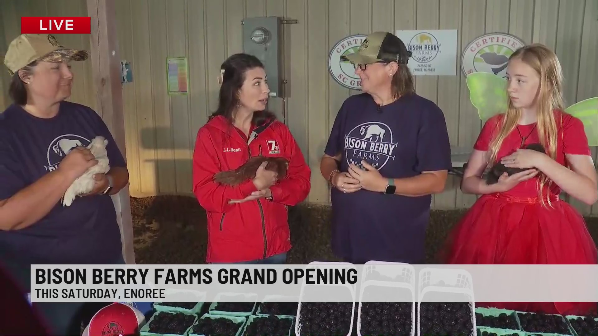 Bison Berry Farms holding grand opening for community with U-Pick ...