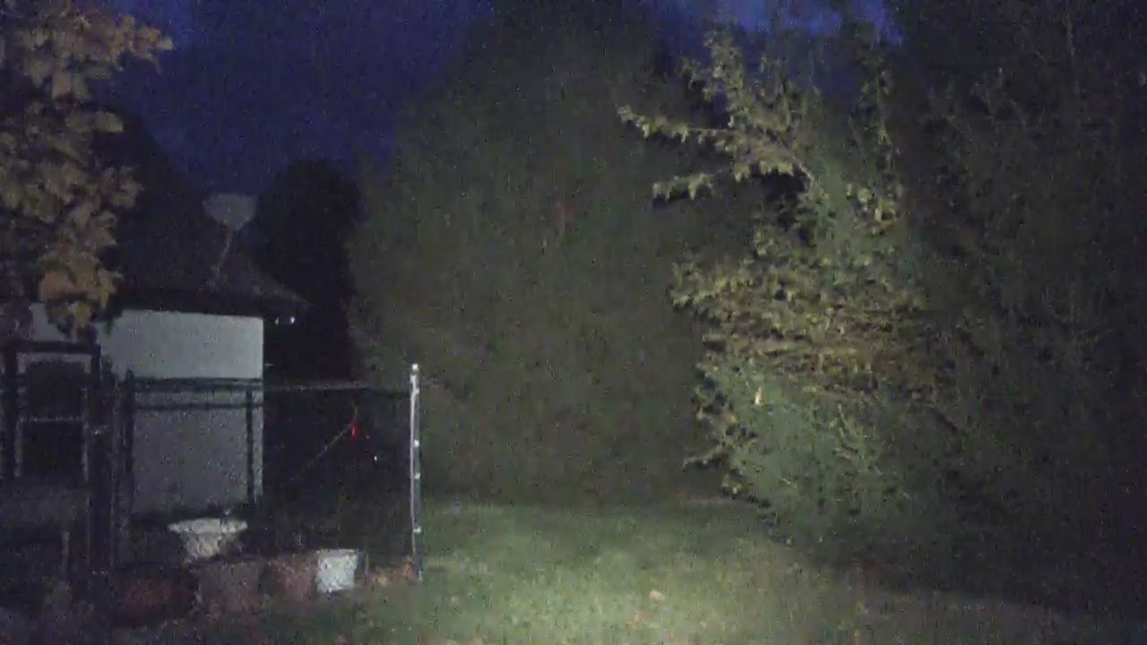 Evansville Christmas Tree coming to town- Eyewitness News Daybreak ...