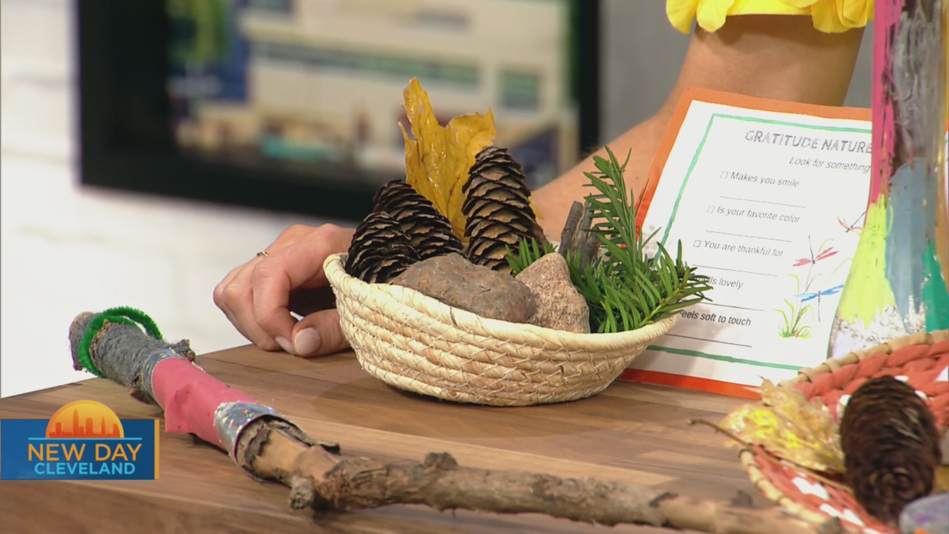 New Day Cleveland: Wild and Free OT – Fox 8 Cleveland WJW