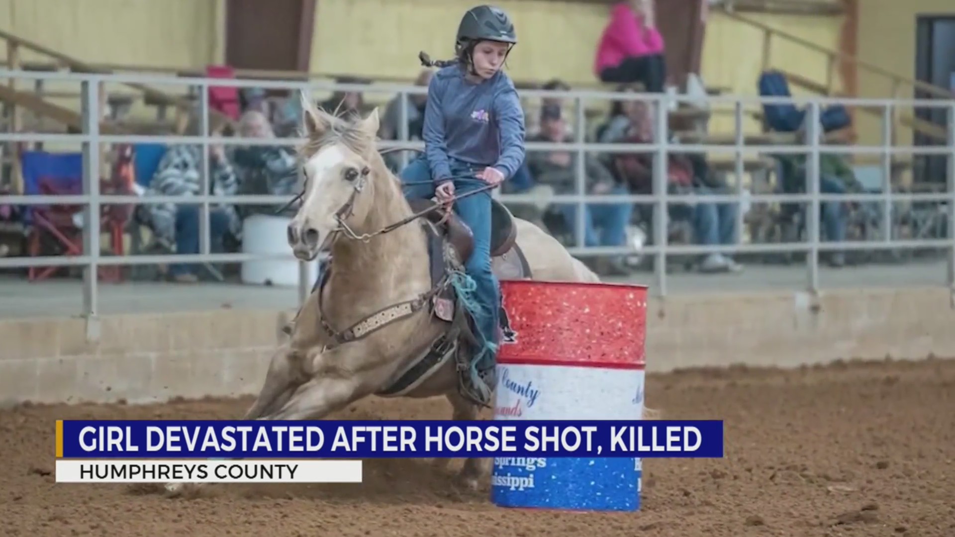 Girl devastated after horse shot, killed – WKRN News 2