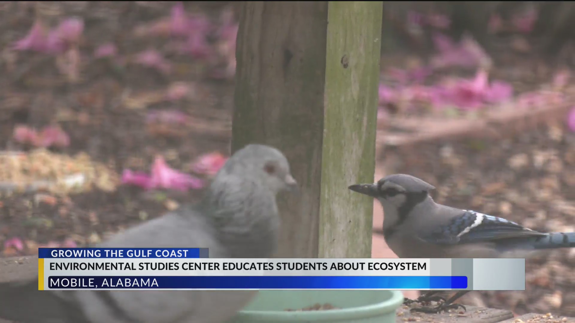 Environmental Studies Center educates and inspires future environmental ...
