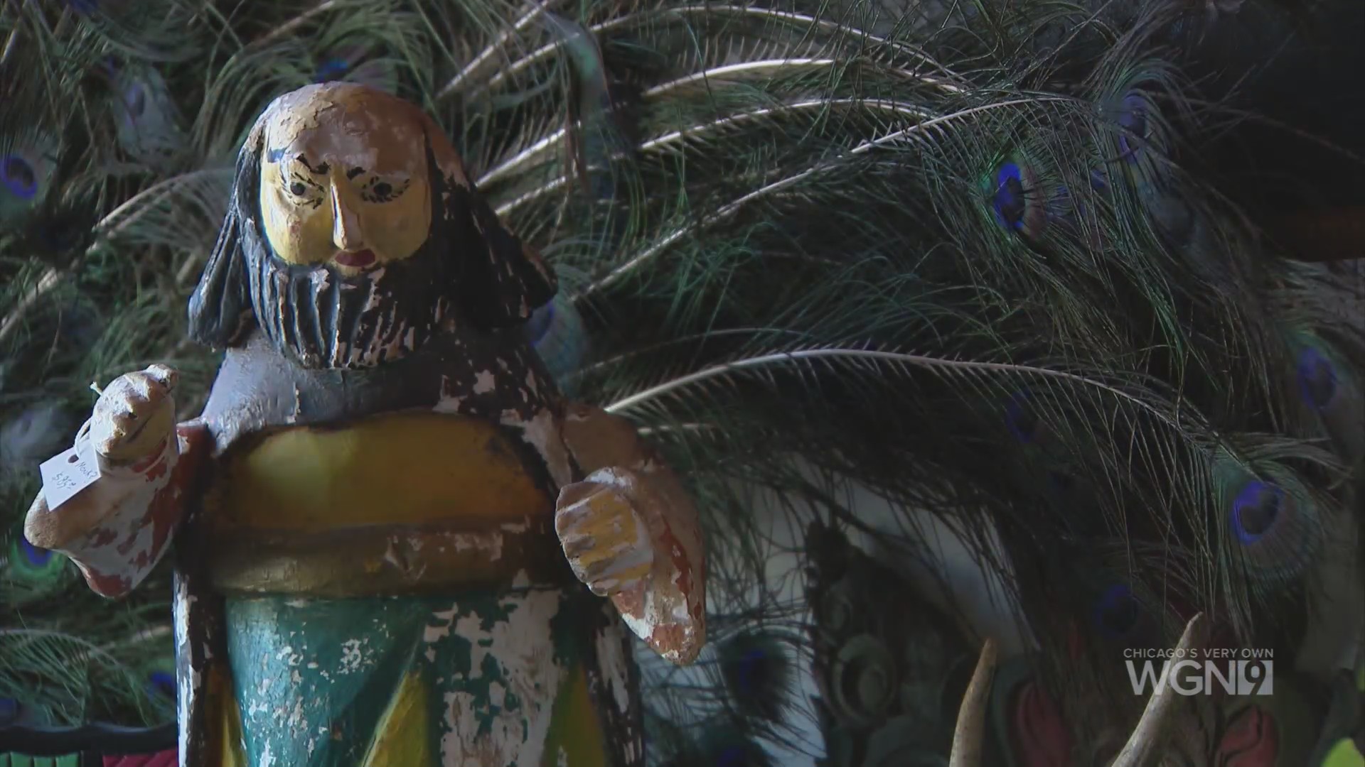 The macabre treasures of Chicago’s Wooly Mammoth Shop – WGN-TV