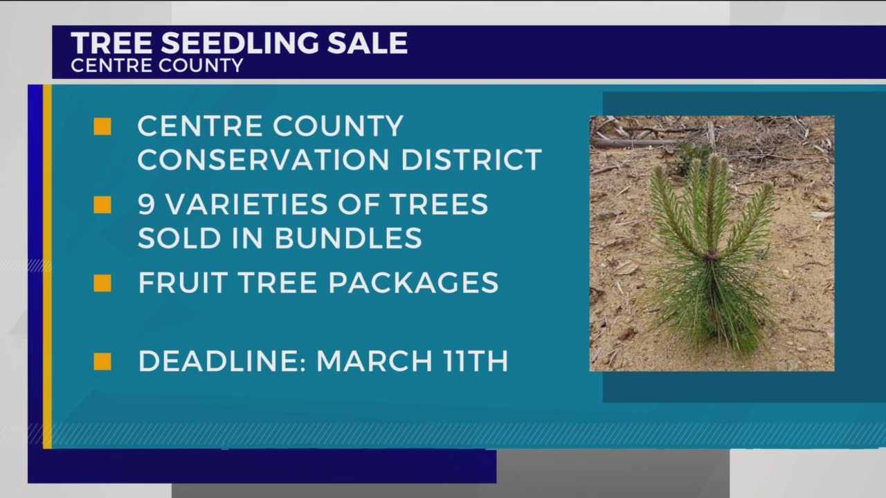 Centre County Conservation District opens sale for tree seedlings ...