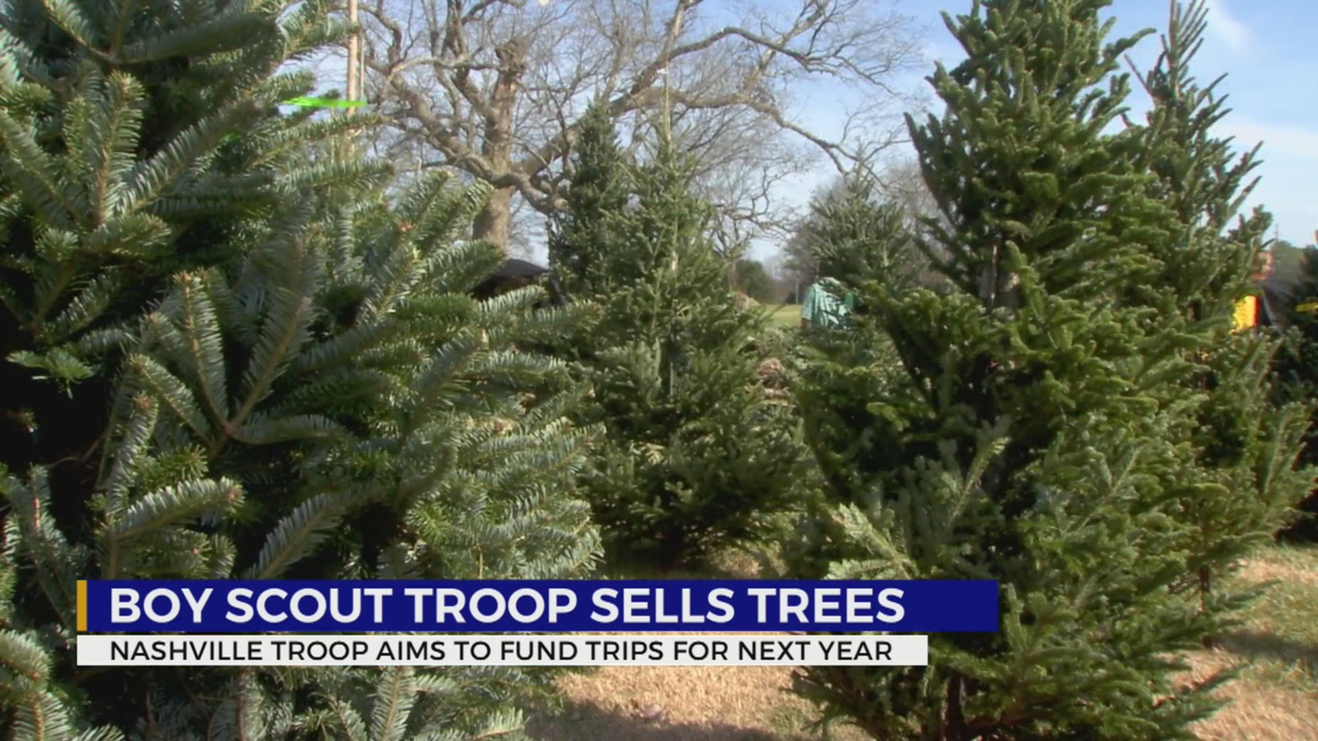 Boy Scout Troop selling Christmas trees in Nashville – WKRN News 2