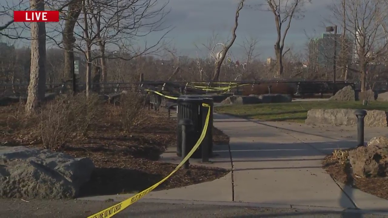 Niagara Falls woman, son jump into gorge – News 4 Buffalo