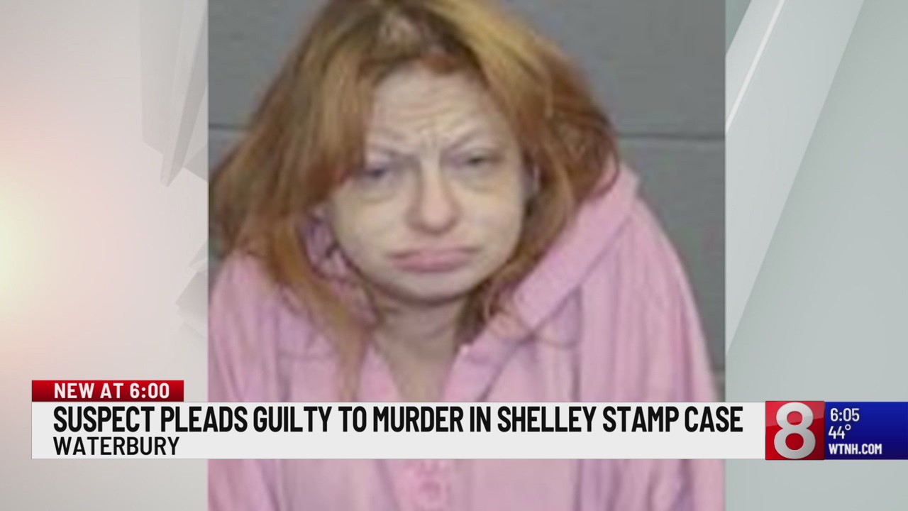 Suspect pleads guilty to murder in Shelley Stamp case – WTNH.com