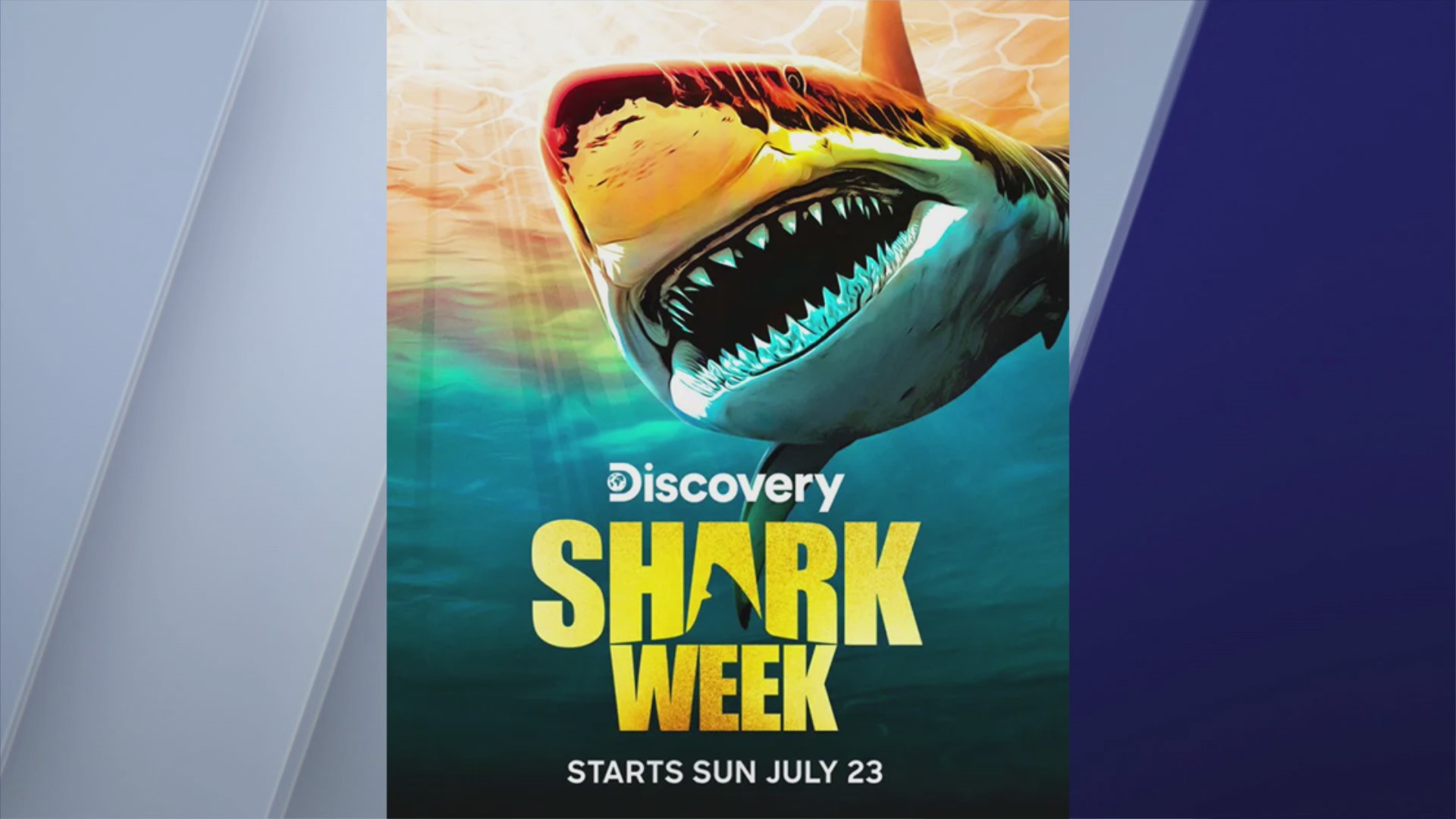 Shark Week celebrates 35 years – WGN-TV