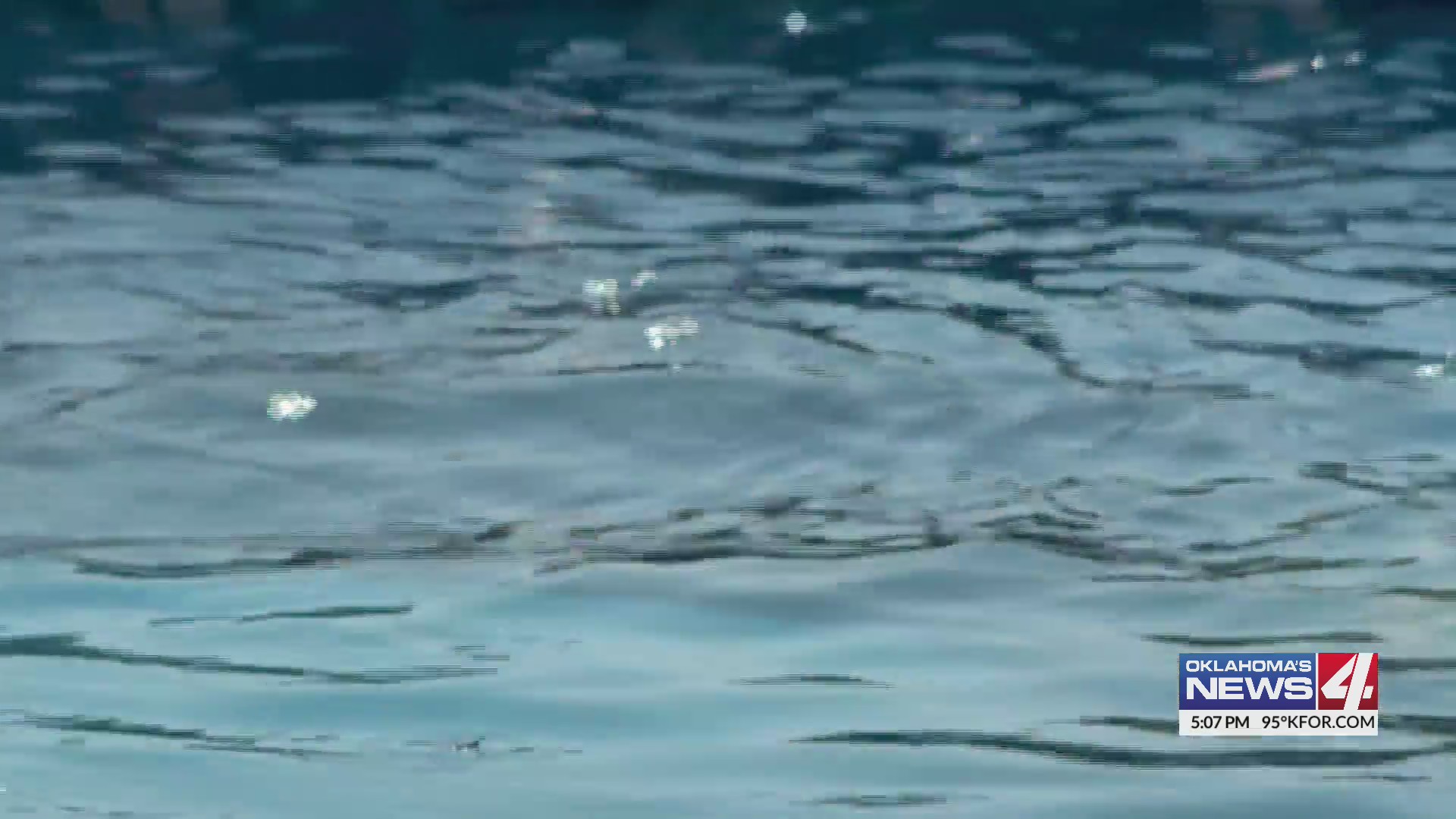 Best of Great State: Dog days dock diving – KFOR.com Oklahoma City