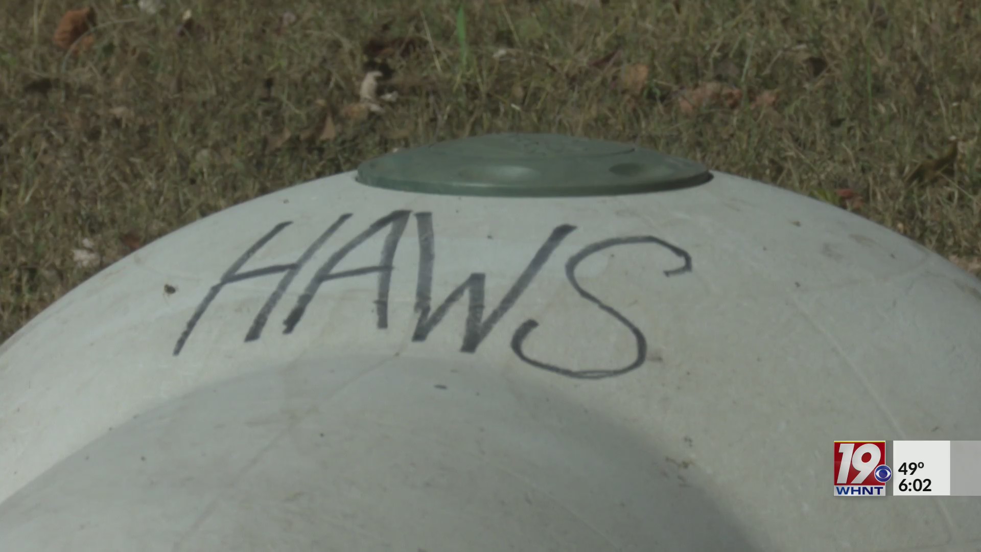 How HAWS is Helping Keep Pets Safe This Winter | November 1, 2023 ...