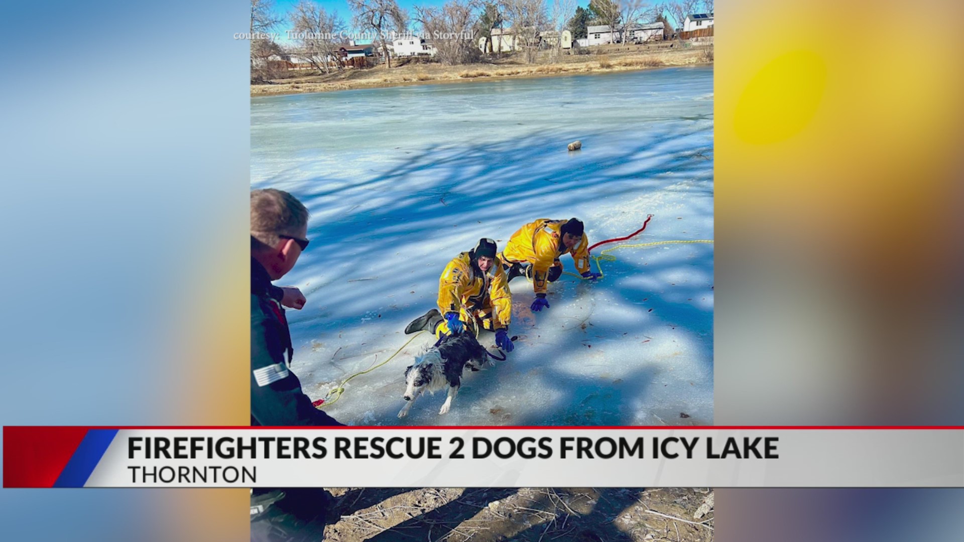 Photos: Firefighters rescue dogs from icy lake – FOX31 Denver