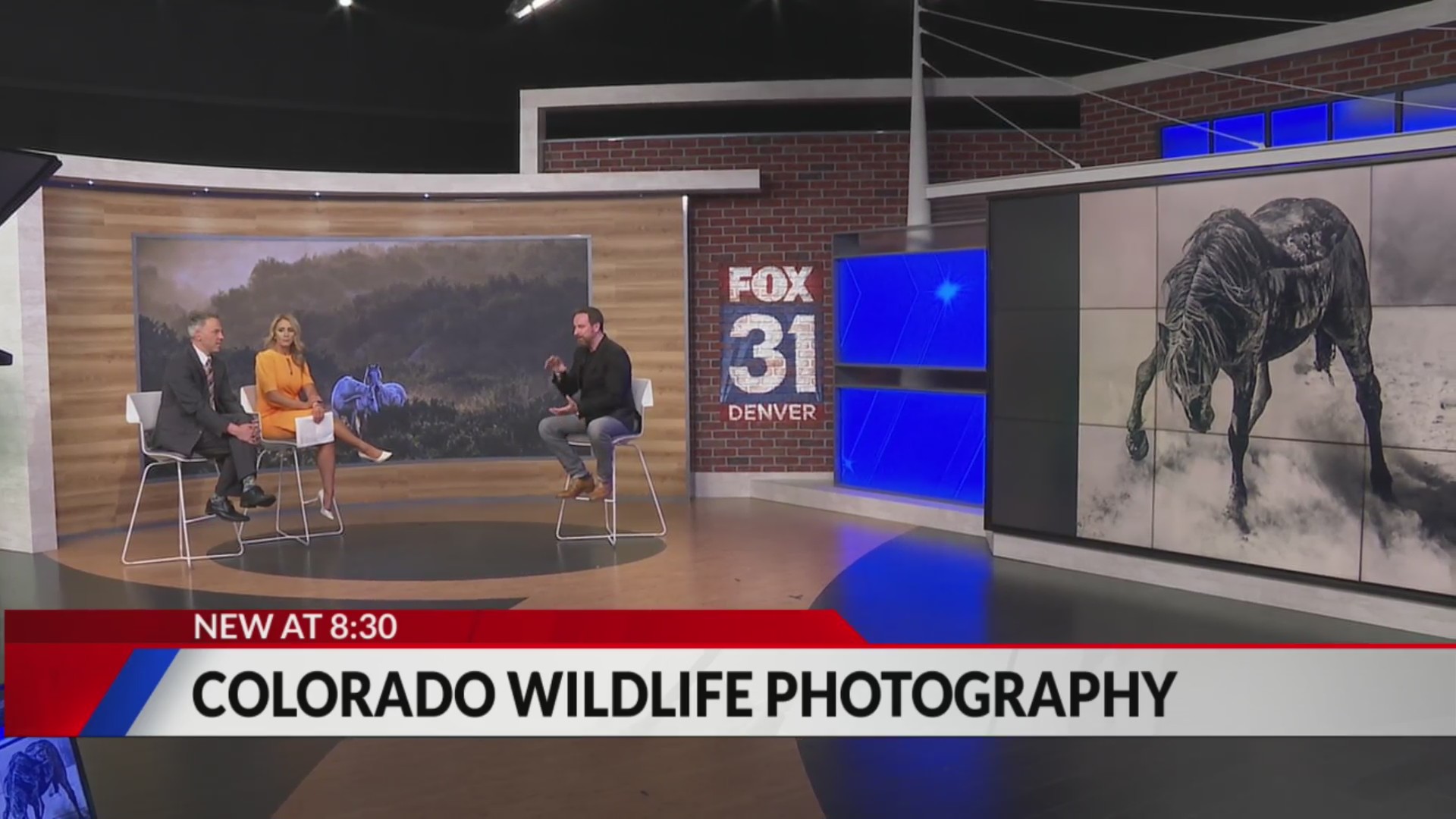 Scott Wilson Photography – FOX31 Denver