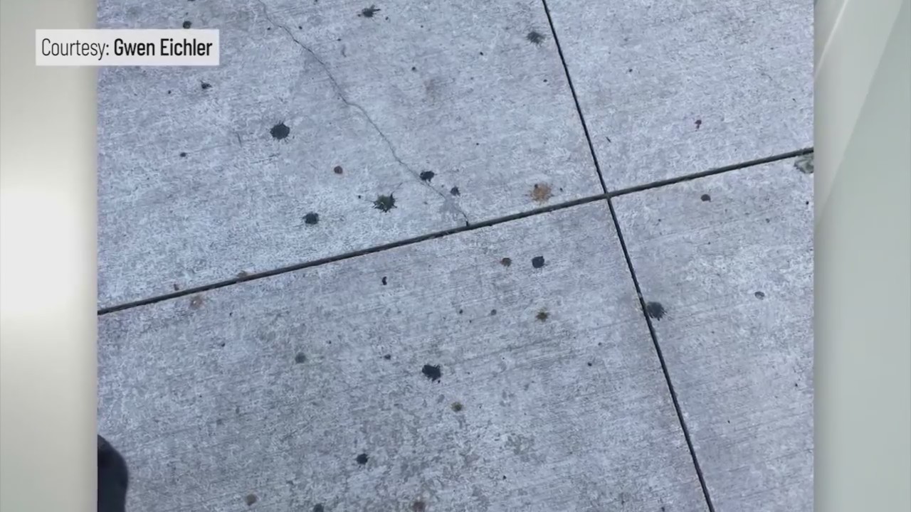 ‘Sky poop’ complaints have North Tonawanda residents, officials seeking ...