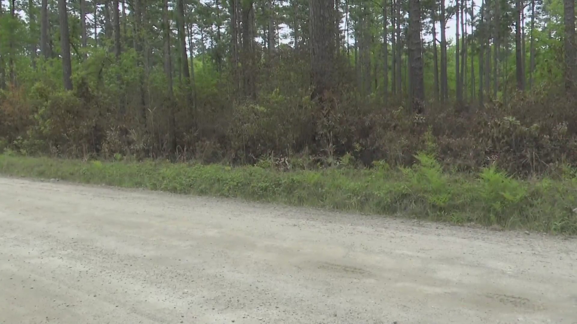 Croatan National Fire 75% contained – WAVY.com