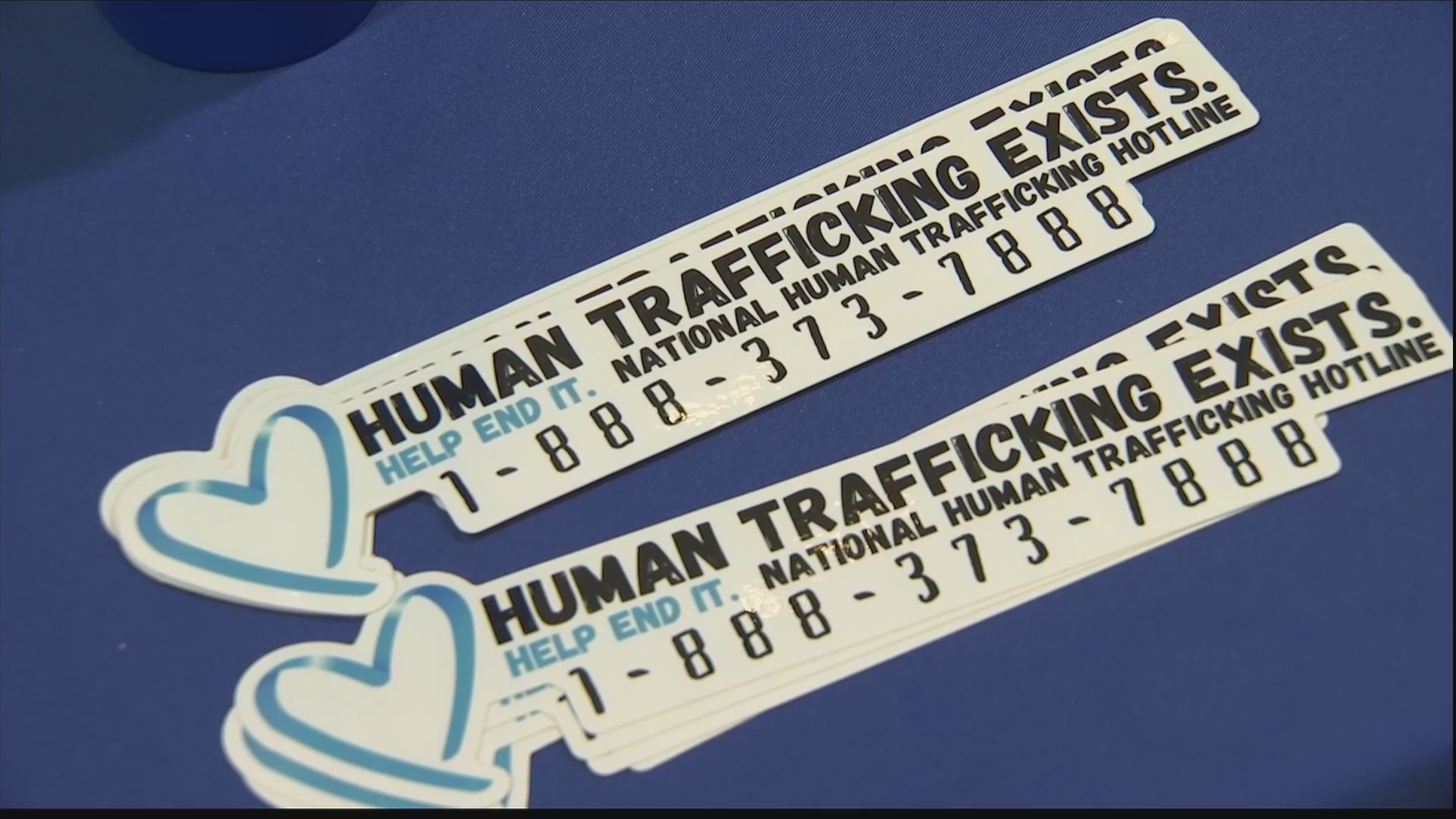 8th Annual Savannah Traffick Jam raises awareness – WSAV-TV